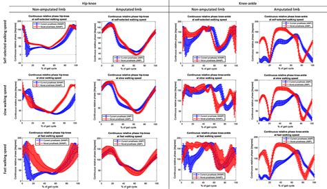 Comparison Of Continuous Relative Phases Hipknee And Kneeankle At