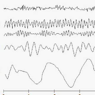 Brain Wave Frequency 7 Download Scientific Diagram