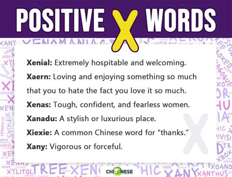 88 Positive Words That Start With X To Describe Someone