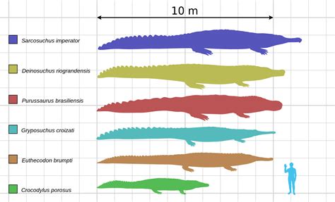 Giant Prehistoric Crocodile