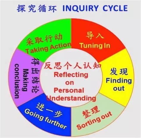 东莞阳光网强势报道我校国际部小学ib Pyp授权 搜狐大视野 搜狐新闻