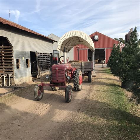Tree Farm Houston TX Last Updated August 2021 Yelp