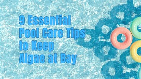 Essential Pool Care Tips To Keep Algae At Bay EasyPoolCleaning