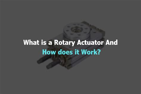 How Does A Rotary Actuator Work At Michael Siddons Blog