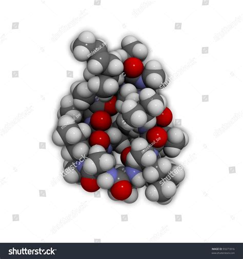Cyclosporine Immunosuppressant Drug Molecule Chemical Structure Stock