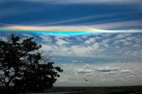 A Circumhorizontal Arc Or Circumhorizon Arc Cha Also Known As A Fire