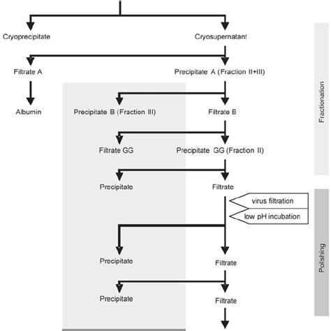 Commonly Used Virus Inactivation Methods Download Scientific Diagram