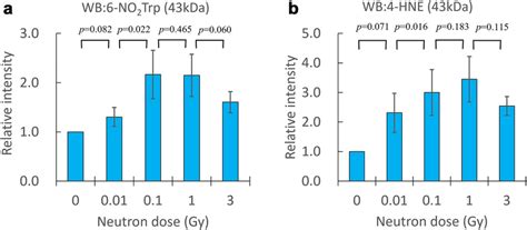Neutron Dose Dependence Of The Relative Intensity Of Modification A Download Scientific