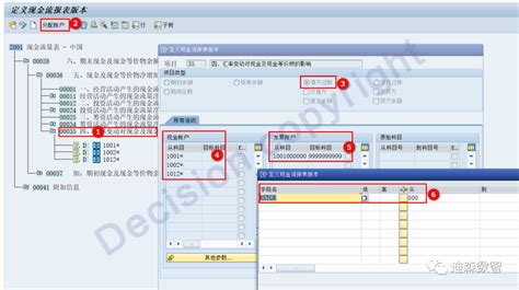 【迪森专家专栏】第6篇：sap财务会计 跟着迪森专家学习如何使用标准功能，实现中国本地化现金流量表！ 知乎