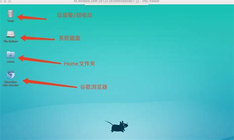 矩池云使用vnc Viewer远程连接gpu主机，图形用户界面操作vnc调用的是被连接电脑的显卡还是本机的显卡 Csdn博客