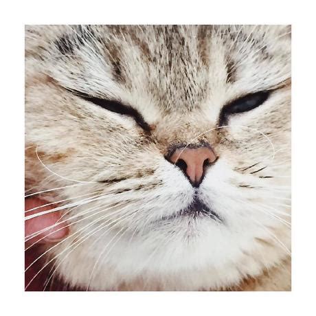 Filesystem MCP Server SSE LangDB