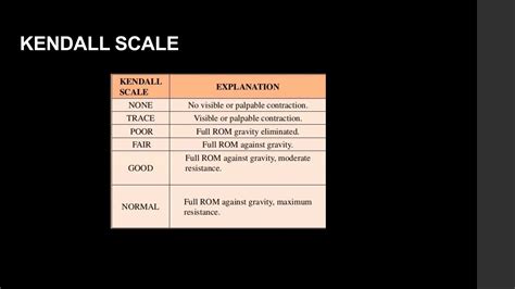 Manual Muscle Testing Mmt Pptx
