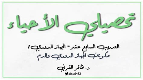 تحصيلي الأحياء التدريب 17 تركيب الجهاز الدوري الدموي Youtube