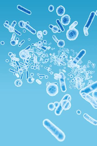 장내 세균 그람 음성 막대 모양의 박테리아 장내 미생물의 일부 및 다른 감염의 원인 물질 3d 렌더링 대장균 Klebsiella Enterobacter 및 기타 0명에 대한