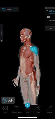 Chapter 7 Lab Flashcards Quizlet