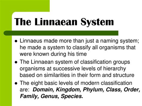 Classification Chapter Ppt Download