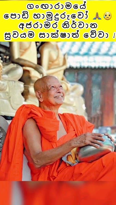 ගංගාරාමේ පොඩි හාමුදුරුවෝ 🙏🏽 😥 Shorts Srilanka Sad Youtube