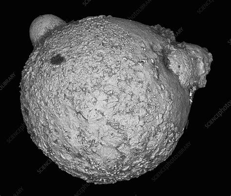 Micrometeorite Structure Sem Stock Image C043 4487 Science Photo Library