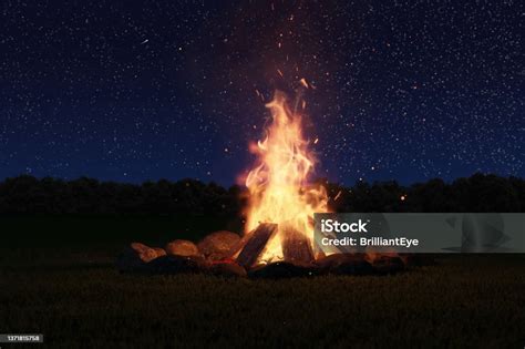 숲과 별이 빛나는 하늘 앞에서 스파크와 입자가 있는 대형 모닥불 3d 렌더링 캠프 파이어에 대한 스톡 사진 및 기타 이미지 캠프 파이어 별 대형 Istock