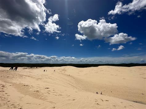 줌줌 후기 Vip 단독투어 시드니포트스테판 투어 돌핀크루즈 4wd 사막투어 시크릿코스 정희