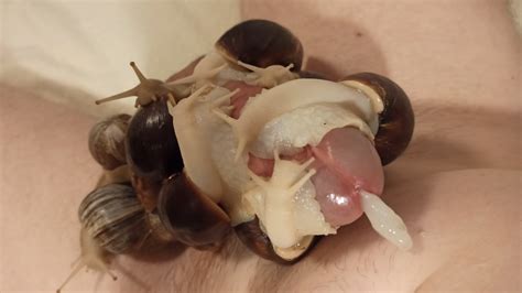 Snails Dominate My Cock And Slowly Make Me Cum ThisVid Com