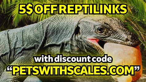 Tegu Diet Guide Feeding Schedule Best Foods And What To Avoid