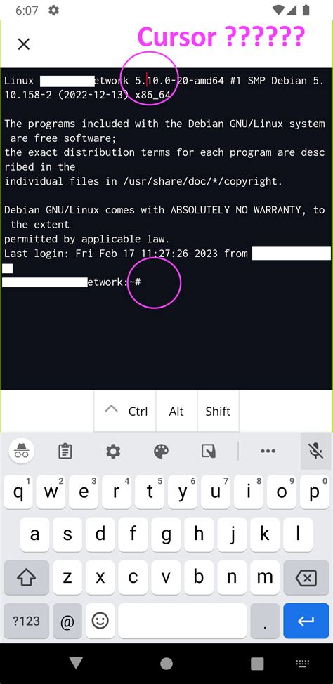 An Error Occurred When Delete Characters In Terminalview Issue Terminalstudio Xterm