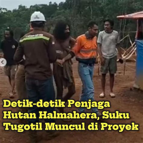 Video Detik Detik Penjaga Hutan Halmahera Suku Togutil Muncul Di Proyek Relung Id