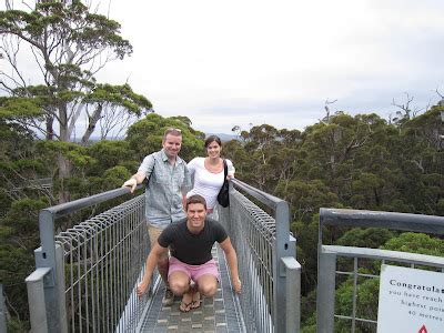 Plan A 89 Tree Top Walk