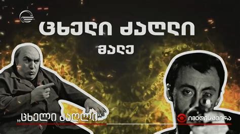 „ცხელი ძაღლი“ როგორ იქმნებოდა და იხსენებენ შემქმნელები საკულტო