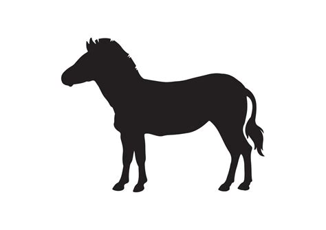 Silhouette Of A Zebra Black Zebra Silhouette On White Background
