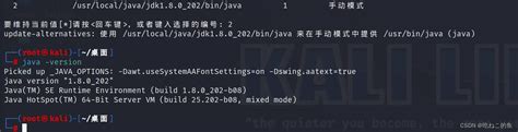 记一次jmet报错信息Exception in thread main java lang IllegalAccessError