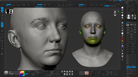Hd Female 3d Head Model 31