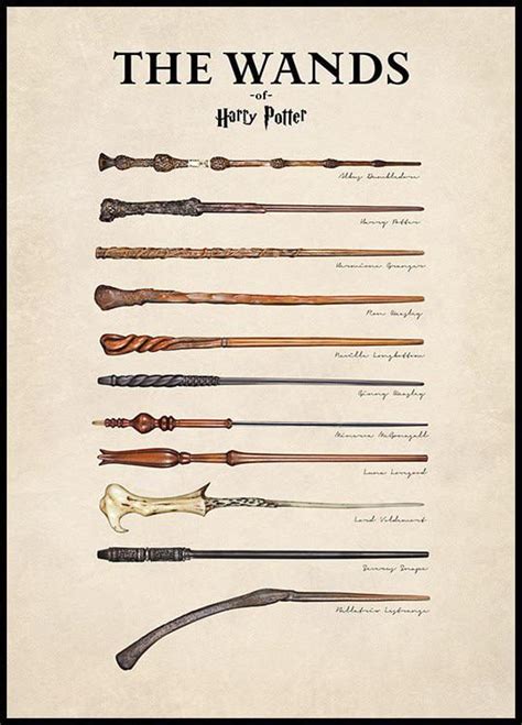 Who Carries Your Favorite Harey Potter Wand Rharrypotter