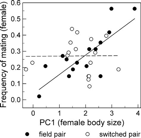 Relationships Between Female Body Size And Frequency Of Mating During Download Scientific