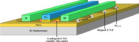 Cross Sectional View Of Carbon Nanotube Field Effect Transistor Cntfet Download Scientific