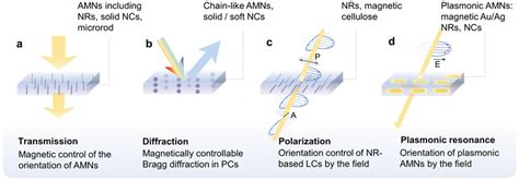 Scheme For Magnetically Responsive Optical Modulation A Tuning Of
