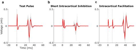 Individual Average Waveforms Red Of An Example Control Participant Download Scientific