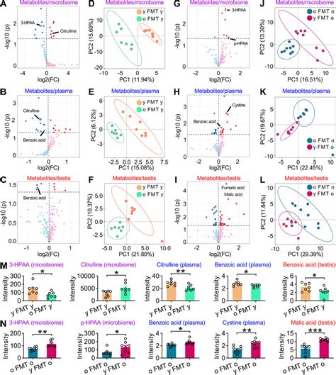 Gc Ms Metabolomics Analysis Conducted For Microbiome Plasma And Download Scientific Diagram