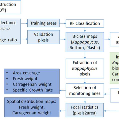 workflow diagram including image processing classification and