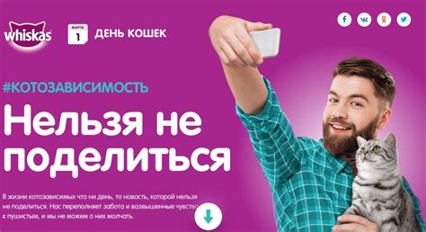 Вискас Акция В Каком Магазине