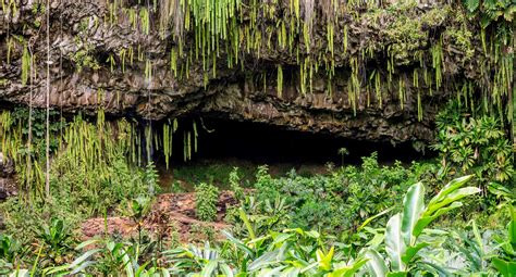 Fern Grotto Tours Descubre Las Mejores Excursiones Y Secretos Del