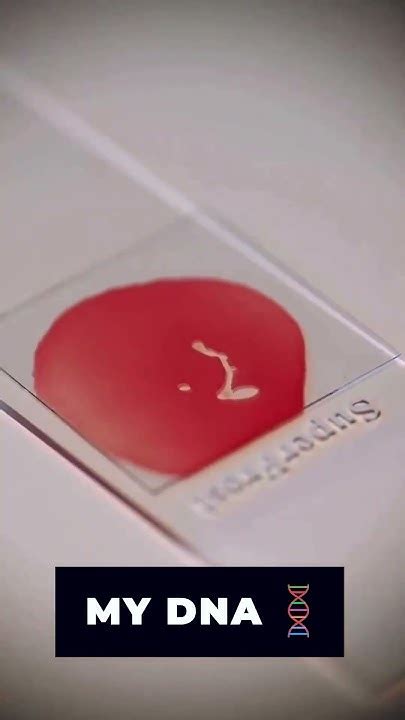 Traders Dna My Dna 🧬dna Trader Youtube