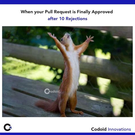 Codoid Innovations On Linkedin Qamemes Qatestingmemes Softwarememes