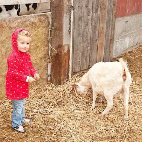 Gg Poem Flashcards Quizlet