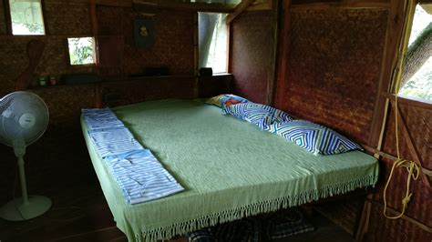 Devadaru Tree House Varanashi