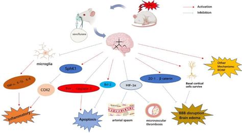 Sevoflurane For Subarachnoid Hemorrhage Treatment Medical Gas Research Posted On The Topic