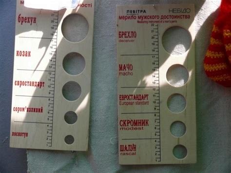 Размер полового члена средняя длина нормальный размер в России и других странах от чего зависит