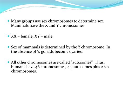 PPT SEX DETERMINATION PowerPoint Presentation Free Download ID 850134