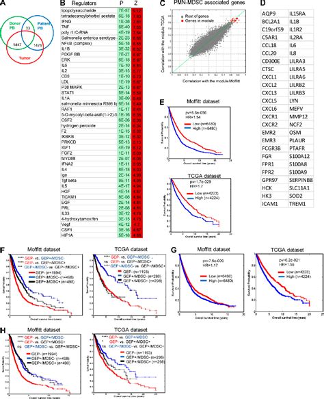 Figure 1 From Analysis Of Classical Neutrophils And Polymorphonuclear Myeloid Derived Suppressor